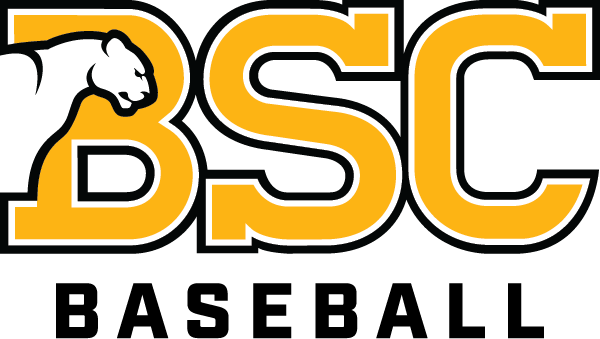 College Baseball: Birmingham-Southern Plays On, While The School Itself ...